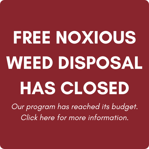 Kitsap County Noxious Weed Control Program